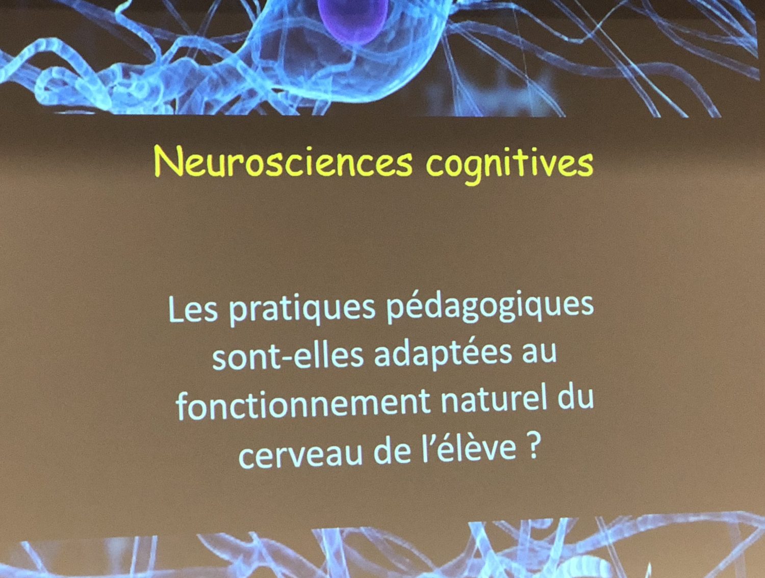 Les enseignants sensibilisés aux neurosciences - FANB